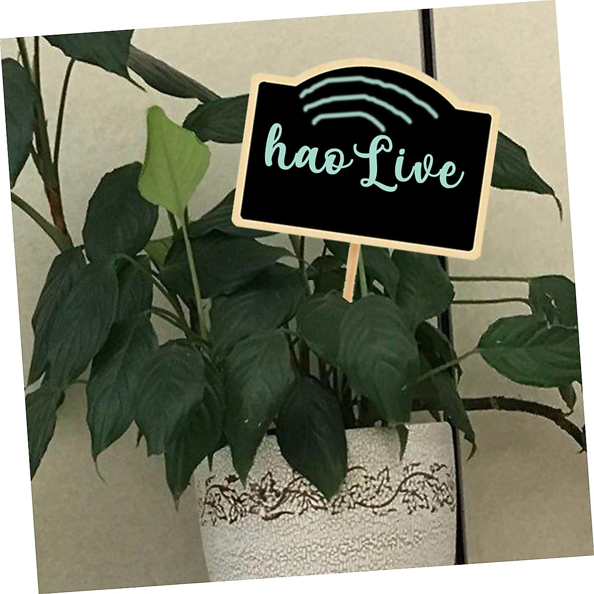 Ciieeo 20pcs Wood Chalkboard Signs Mini Message Board Signs Mini Message Sign Blackboard Garden Stakes Mini Chalk Sign Mini Chalkboard Black Board Garden Makers Bamboo Wedding Wood Pile