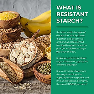 Boost Biome Fiber Supplement Organic Super Greens Powder – Supports Bloating Relief, Gut Health, Leaky Gut with Resistant Starch Powder - Green Banana Flour, Oat, Black Bean (30 Days, Vanilla)