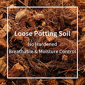 Orchid Potting Soil, Organic Barks Coconut Potting Soil Mix- 6 Qt, All Purpose Orchids Bricks Coarse Blend, Fast Draining Pre-Mixed Bonsai Soil for Indoor Orchid Plants 6L