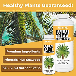 TPS NUTRIENTS Palm Tree Fertilizer for All Palms and Ferns, Liquid Plant Food, 32 oz (1 Quart)