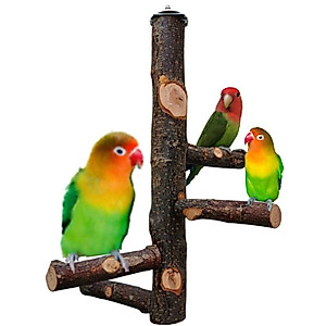 QeeHeng Bird Stand Perch,Natural Wood Parrot Perch Bird Cage,Bird Cage Perches for Parrots,Small Parakeets Cockatiels, Macaws, Parrots, Love Birds, Finches