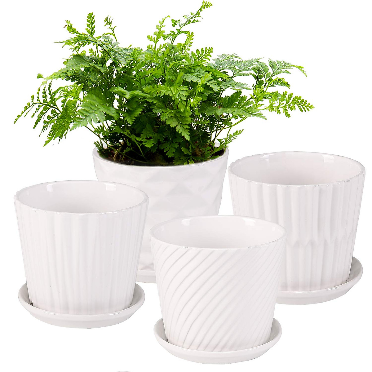 sietpoek Plant Pots - 5.5 Inch Cylinder Ceramic Planters with Connected Saucer, Pots for Succuelnt and Little Snake Plants, Set of 4, White