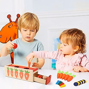 KIZBURG 5 in 1 Object Permance Box, Wooden Montessori Toys for 3 Year Old, Ball Drop, Coin Drop Game, Stacking Toys, Christmas Birthday Gifts for Toddlers