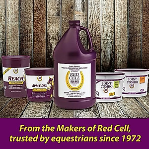 Horse Health Apple-Dex Apple Flavored Electrolytes for Horses, Replaces minerals lost during exercise, under stress or extreme weather conditions, 5 pound