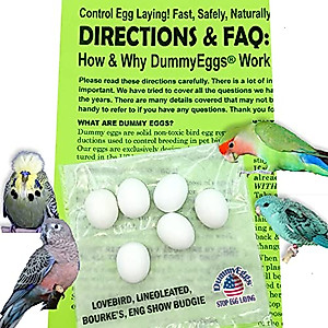 DummyEggs 6 Lovebird to Stop Laying! Realistic 7/8" x 3/4" Plastic Mock Fake Bird Eggs for Lovebird, Lineoleated, Eng Budgie, Bourke's. Solid Non-Toxic Plastic. Ship Fast USA