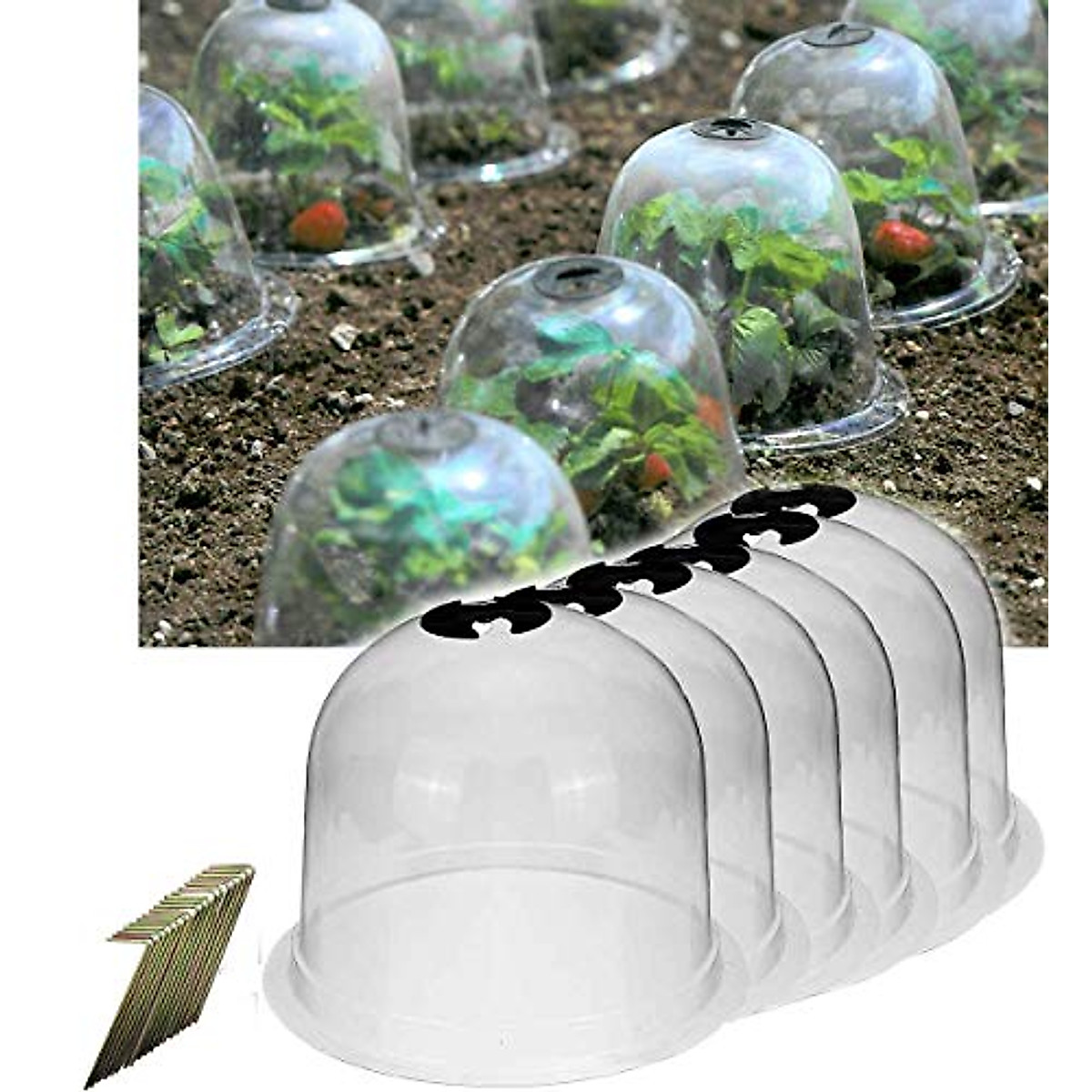 YANGMEI 10 Pack Reuseable 10" Plastic Greenhouse Garden Plant Bell Cover Germination Cover Frost Guard Freeze Protection Dome(Bonus 30 Metal Stakes+10 Plant Tags)