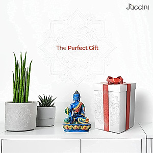 Juccini Handmade 5" Buddha Statues for Home Decor, Small Buddha Meditation Statue for Indoors Outdoor Office & Home Decoration, Hand Painted in Nepal (Medicine Buddha)