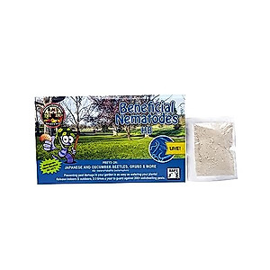 Natures Good Guys Beneficial nematodes Heterorhabditis bacteriophora 5 Million