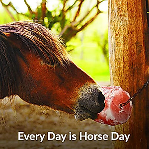 Himalayan Nature Horse Rock Salt, Animal Lick Salt - 8lbs, Elk