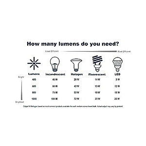 Home Decorators Collection HB7086-260 Lamont 2-Light Chestnut Outdoor Flushmount