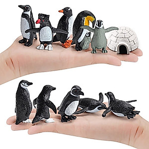 BLAPNK 11PCS Realistic Penguin Figurines, Miniature Antarctic Animal Penguin Figures Easter Eggs Cake Toppers Christmas Birthday Gift for Kids Toddlers