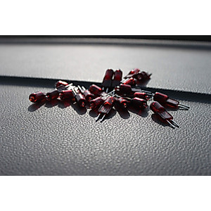 10W Halogen Bulbs G4 10W 12V Halogen Light Lamps G4 Base Halogen 10W 12 Volt T3 JC Lamp Halogen Bulbs Infrared Lights for Massage Chair Hair Dryer,G4 Bi-Pin Base,Low Voltage 12V, Red,10 Pack