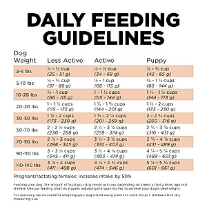 Bundle of GO! Solutions Skin + Coat Care Salmon - Dry Dog Food 12lb + GO! Solutions Skin + Coat Care Salmon - Dry Dog Food 3.5lb