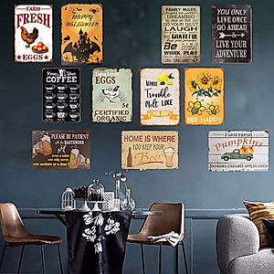 CHENJUAN Black Cat Knowledge Tin Sign Black Cat Kitchen Decor Poster Cat Smoke Bar Bathroom Bar Garden Home Outdoor Wall Decoration 12x8 Inch Poster Metal Tin Signs, multi