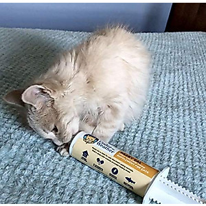 Under the Weather Pet | Ready Cal for Cats 100cc | High Calorie Nutritional Supplement for Weight Gain & Not Eating | 10 Vitamins, 7 Minerals, Omega Fatty Acids