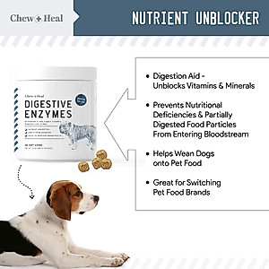 Digestive Enzymes and Probiotics and Cranberry UTI Support for Dogs - Supports Healthy Digestive Tract, Helps Nutrient Absorption - Healthy Urinary Tract and Bladder Function - 120 Soft Chews Each