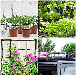 BSTPCOO Scrog net 4x4 Trellis Net for Grow Tent,Heavy Duty Elastic Trellis Net with Hooks for Indoor Plant Growing Tents Garden Plant Net