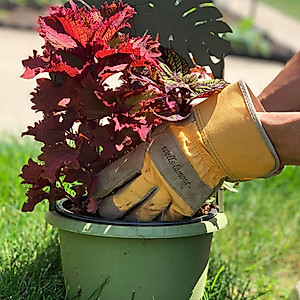 Wells Lamont Women's Heavy Duty Leather Palm Work Gloves with Safety Cuff, Medium (4113M) , Tan