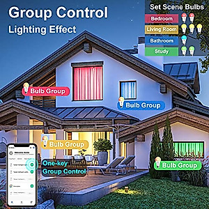 TODAAIR Smart Light Bulbs 1 Pack, Bluetooth & WiFi RGB+White Color Changing Dimmable 60W Equivalent E26 LED Light Bulbs A19, Alexa Devices for Home Works with Alexa and Google Home (No Hub Required)