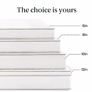 ZINUS 8 Inch Foam and Spring Hybrid Mattress [New Version], Queen, Fiberglass Free, Medium Firmness, Durable Support, Certified Safe Foams & Fabric, Mattress in A Box