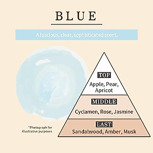 CANMAKE Make Me Happy Eau De Toilette 0.2 fl oz (8ml) Roll-On Type Fragrance (BLUE)