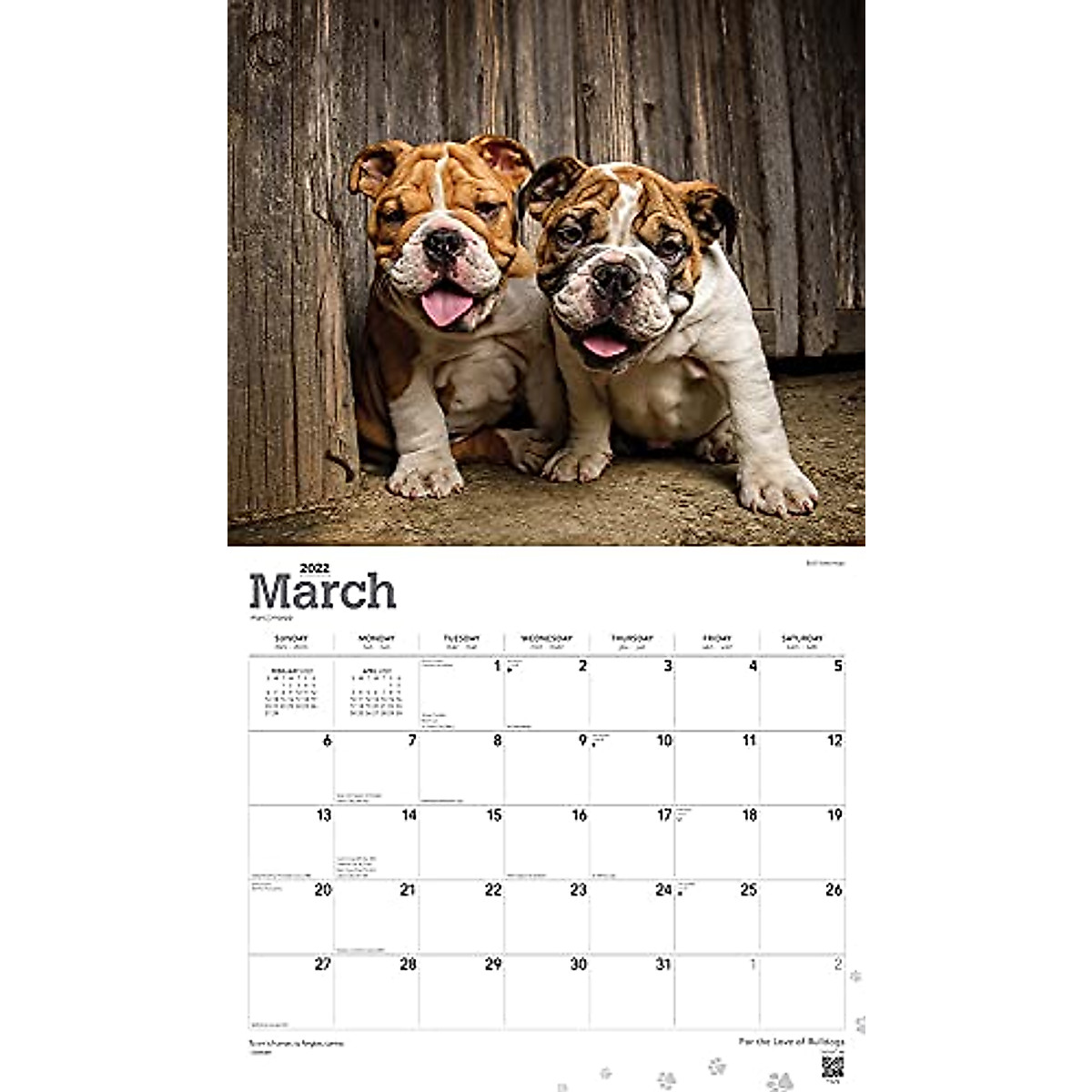 For the Love of Bulldogs 2022 14 x 12 Inch Monthly Deluxe Wall Calendar with Foil Stamped Cover, Animal Dog Breeds DogDays