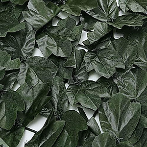 HACSYP Expandable Faux Privacy Fence Artificial Ivy Privacy Fence Screen Roll Tree Simulation Leaf Garden Fence | Anti-Ultraviolet Windproof Courtyard Terrace Decoration Privacy Protection