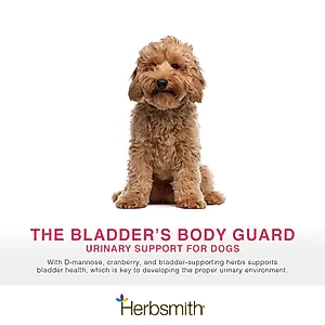 Herbsmith, Bladder Care for Cats and Dogs – Maintains Urinary Health for Dogs and Cats – Dog and Cat Kidney Support – 75g Powder