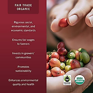 Barrie House Ethiopian Yirgacheffe Single Origin Whole Bean Coffee, 2 lb Bag | Fair Trade Organic Certified |Medium Roast | High Acidity and Clean Finish | 100% Arabica Coffee Beans