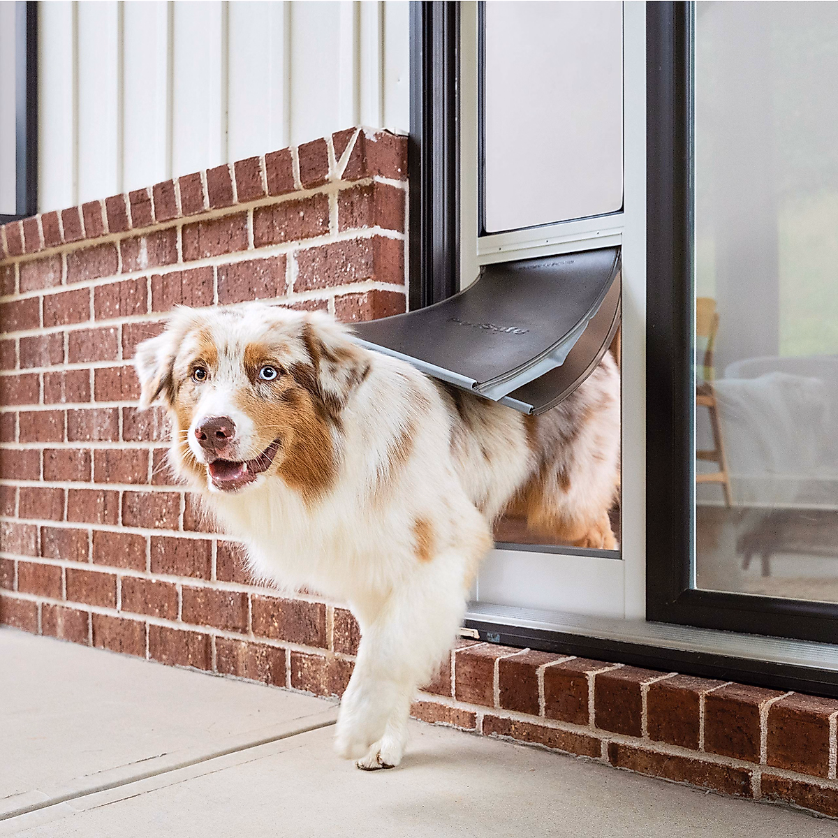 PetSafe Extreme Weather Sliding Glass Pet Door - Easy to Install, Perfect for Rental Homes and Apartments - Adjustable Height 75 7/8" to 80 11/16" - Insert for Patio Sliding Glass Doors, Large Size