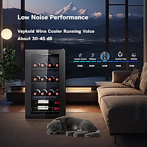 26 Bottles and 130 Cans Wine Cooler Cabinet & Beverage Refrigerator - Independent or Embedded Wine Cellar with Transparent Glass Door Design and Silent Compressor for Temperature Adjustment