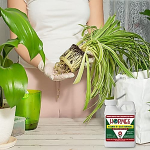 Hormex Vitamin B1 Rooting Hormone Concentrate - Rooting Hormone for Hydroponics, Aeroponics, Established Plants, Cuttings and More, Indoor and Outdoor Plant Growth Stimulator Concentrate - (8oz)