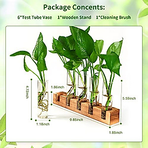HUSSLEAN Propagation Stations Terrarium with Wooden Stand,Desktop Glass Vase Plant Holder for Hydroponics Water Plants Cutting,Home Garden Office Decor,Plant Holder Lover Gifts(5 Test Tubes Love)