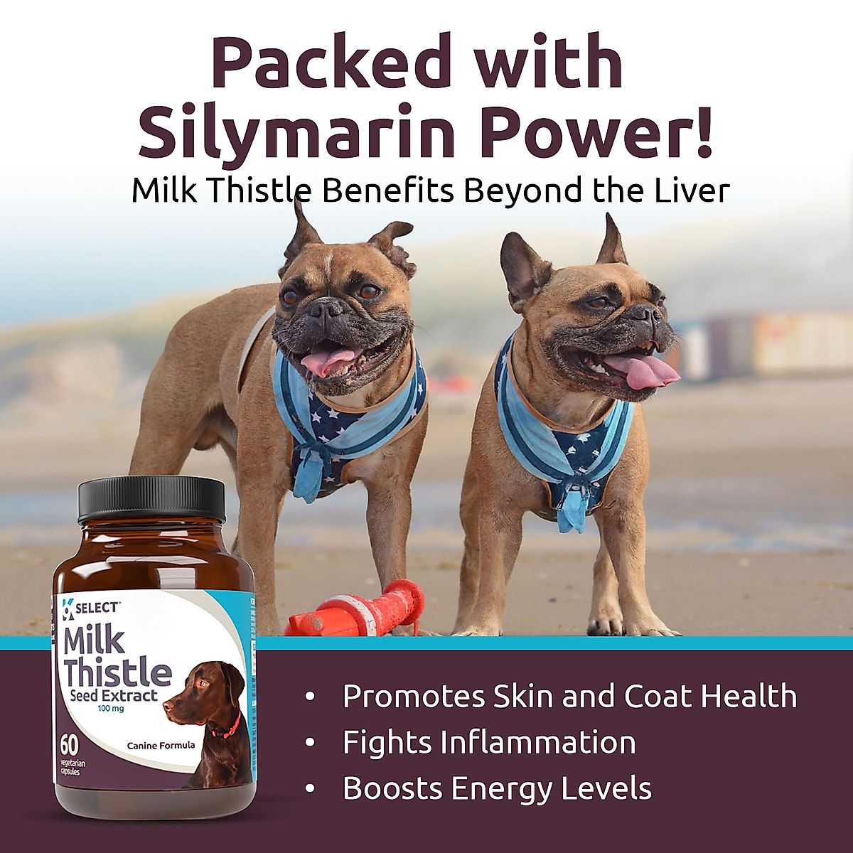 K9 Select Milk Thistle for Dogs, 100mg - 60 Vegetable Capsules - Canine Liver Health Milk Thistle Supplement - Liver Supplement - Liver Support Supplement - Milk Thistle Herbal Supplements