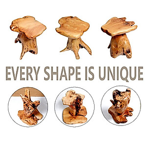 Brefhome Tree Stump Side Table Natural Edge Cedar Real Wood End Table,Small Wooden Mushroom Stool, Indoor/Outdoor