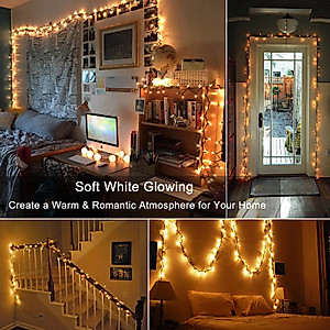 Brizled Warm White Clear Christmas Lights Connectable, 21FT 100 Count Mini Incandescent String Lights Plug in, Waterproof Xmas Tree Lights Green Wire for Indoor Outdoor Home Party Garden Yard Decor