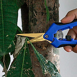 HOMEANING 1PC Pruning Shears with Curved Trimming Scissors, Blades Gardening Hand Pruning Snips Titanium Coated Precision Bonsai Pruning Shears, Convenient and Efficient Flower Cutters (Blue)