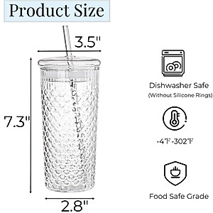 Tlence 2 Pack Glass Tumbler Cup With Lids and Straws, 25 OZ High Borosilicate Iced Coffee Cup, Embossed Fish Scale Glass Travel Mug for Smoothie Bubble Tea Juice Milk Water