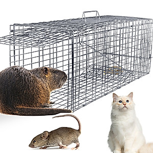 Moclever Live Animal Cage Trap Humane Cat Trap Cage Catch Release Live Animal Rodent Cage Collapsible Galvanized Wire for Rabbits, Stray Cat, Raccoon, Groundhogs, Mole,Gopher,Opossum-30.5X11.81X11 in