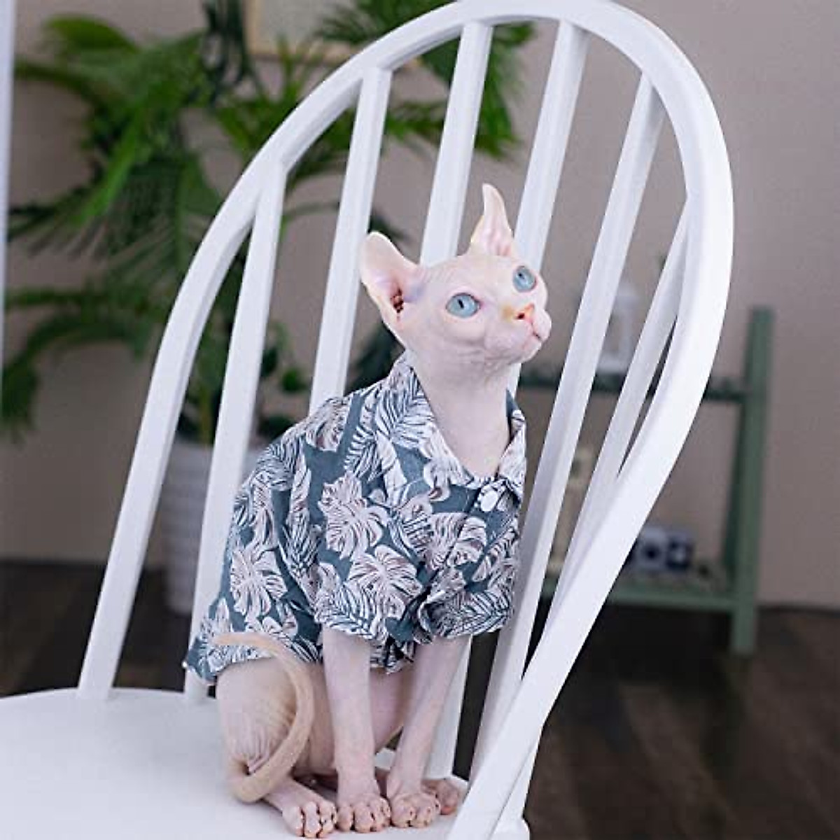 Hairless Cat T-Shirt Breathable Summer Cotton Hawaiian Shirts Short Sleeve Button Closure Turn Down Collar Leaf Print Cat Clothes Vest Apparel for Sphynx, Cornish Rex, Devon Rex, Peterbald (XXL-)