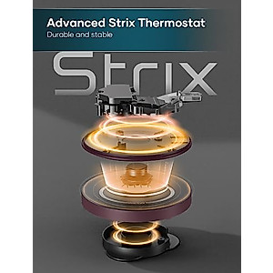 INTASTING Electric Kettle for boiling water Double Wall 100% Stainless Steel Inner 1500W Fast Heating 1.5L Hot Water Boiler Auto Shut-Off & Boil Dry Protection BPA-Free Electric Tea Kettle Red