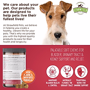 Strawfield Pets' Cranberry UTI + Bladder Soft Chews Cranberry Supplement for Dogs Urinary Tract - Bacon Flavor 120 Chews