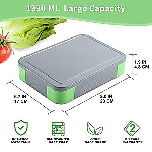LOVINA Bento Box for Adult Kids, Stylish Teens Adult Lunch Box Containers With 5 Compartments, Durable, Microwave/Dishwasher Safe, BPA-Free, Perfect for On-the-Go Meal(Grey)