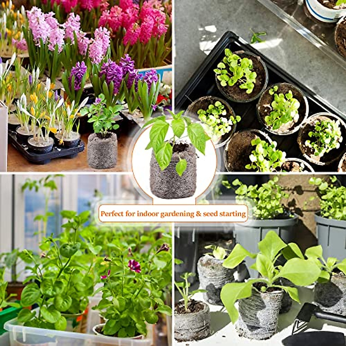 50 Legigo 30mm Peat Pellets | Easy Seed Starting & Germination