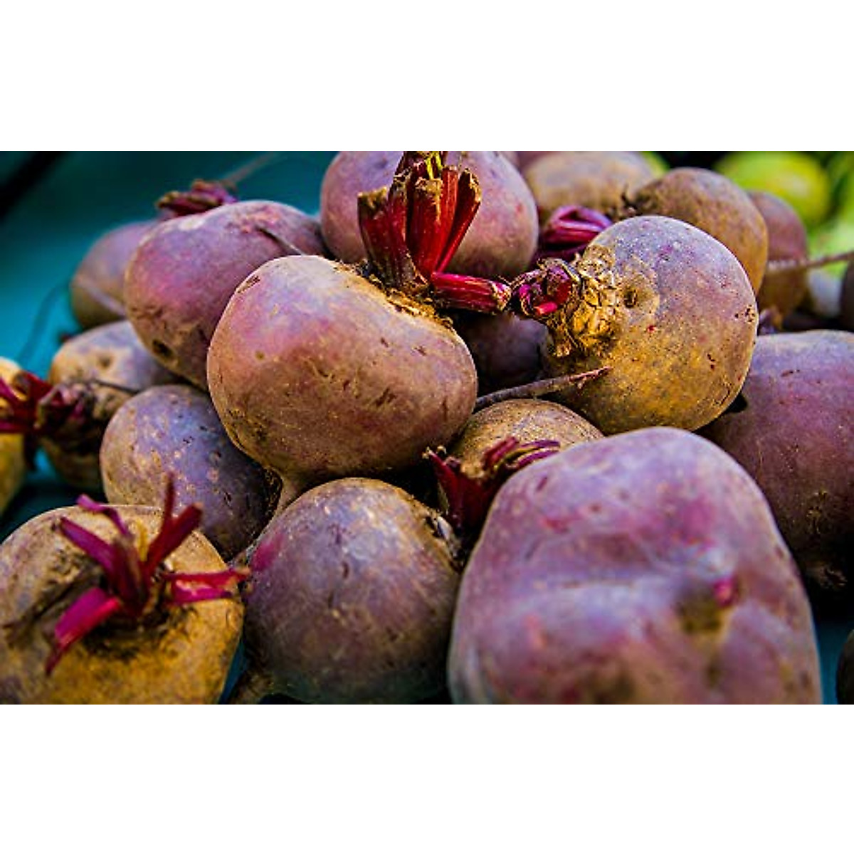 Red Ace Beet Seeds, 100 Seeds Per Packet, Non GMO Seeds Scientific Name: Beta vulgaris, Isla's Garden Seeds