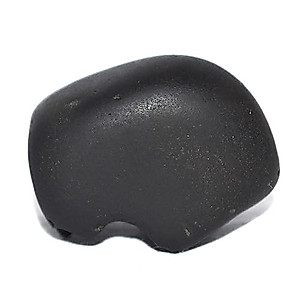 Rudrakshguru Hayagriva Shaligram - Gandaki River Nepal