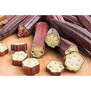 Red Burgundy Okra Seeds for Planting, 100+ Heirloom Seeds Per Packet, (Isla's Garden Seeds), Non GMO Seeds, Botanical Name: Abelmoschus esculentus, Great Home Garden Gift