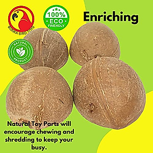 Bonka Bird Toys 1031 Pk4 Half Shell Coconuts Natural Forage Chewing Party Arts Craft Parrot Macaw African Grey