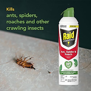Raid Essentials Ant, Roach & Spider Killer Aerosol Spray, Child & Pest Safe, Kills Insects Quickly, for Indoor Use 10oz