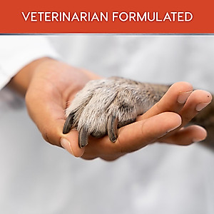 Aspen Green USDA Certified Organic Hemp Calming Chews for Dogs - Soft Dog Calming Treats May Support Dog Anxiety Relief (10mg Organic Hemp per 4g Chew - 30 Hemp Treats for Dogs per Bag) - Bacon Flavor